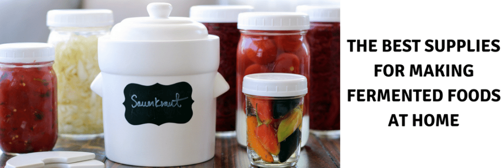Blog - Fermented Food Lab